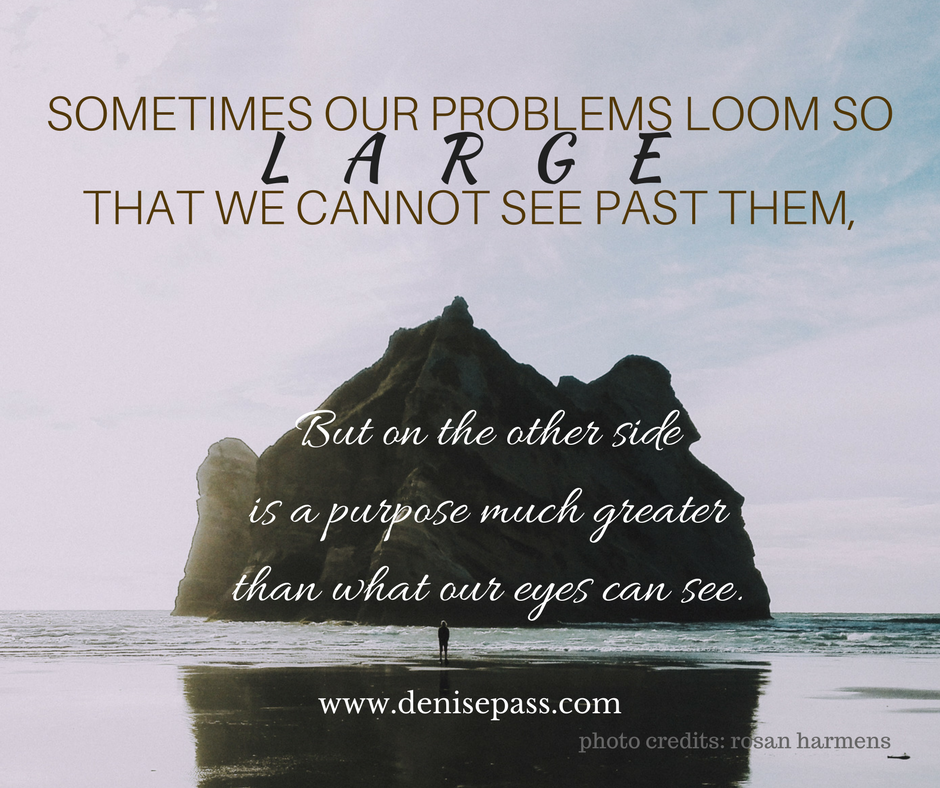 The Purpose of Problems - Denise Pass