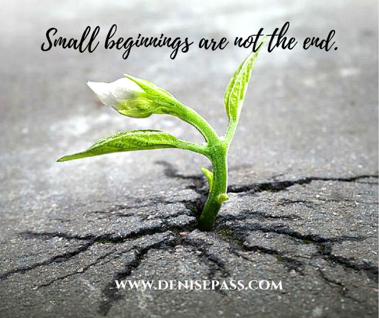 Small Beginnings are Not the End
